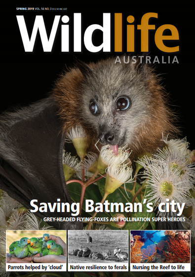Wildlife Australia Magazine Subscription - isubscribe.com.au