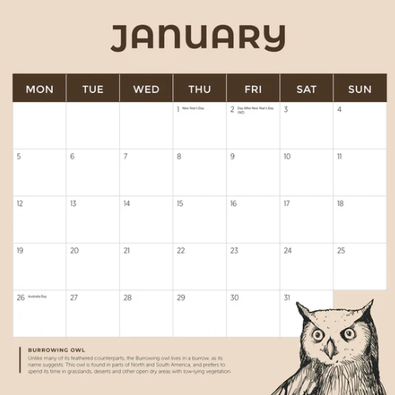 2026 Owls Calendar - isubscribe.com.au
