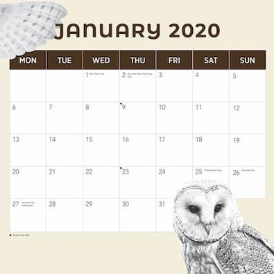 Owls 2020 Calendar - isubscribe.com.au