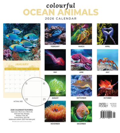 2026 Colourful Ocean Animals Calendar - isubscribe.com.au