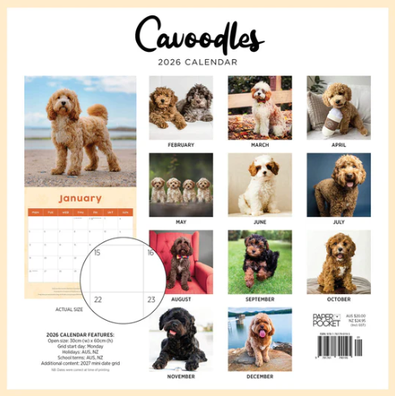 2026 Cavoodles Calendar - isubscribe.com.au