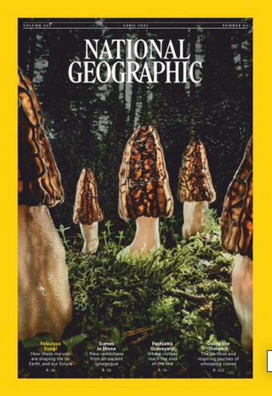 National Geographic Magazine Subscription - isubscribe