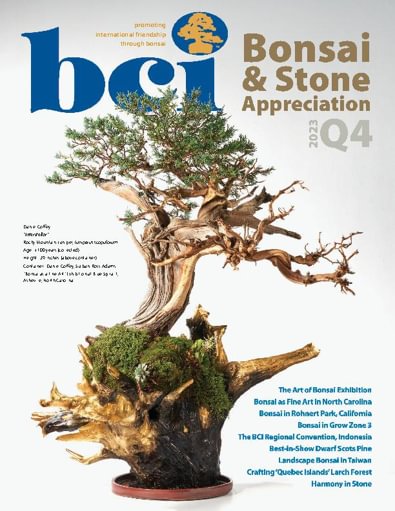 BCI Bonsai & Stone Appreciation Magazine Digital Subscription