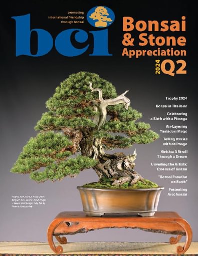BCI Bonsai & Stone Appreciation Magazine Digital Subscription