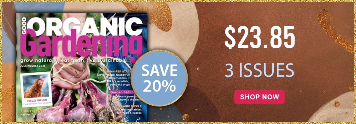 Magazine Subscriptions | isubscribe.com.au